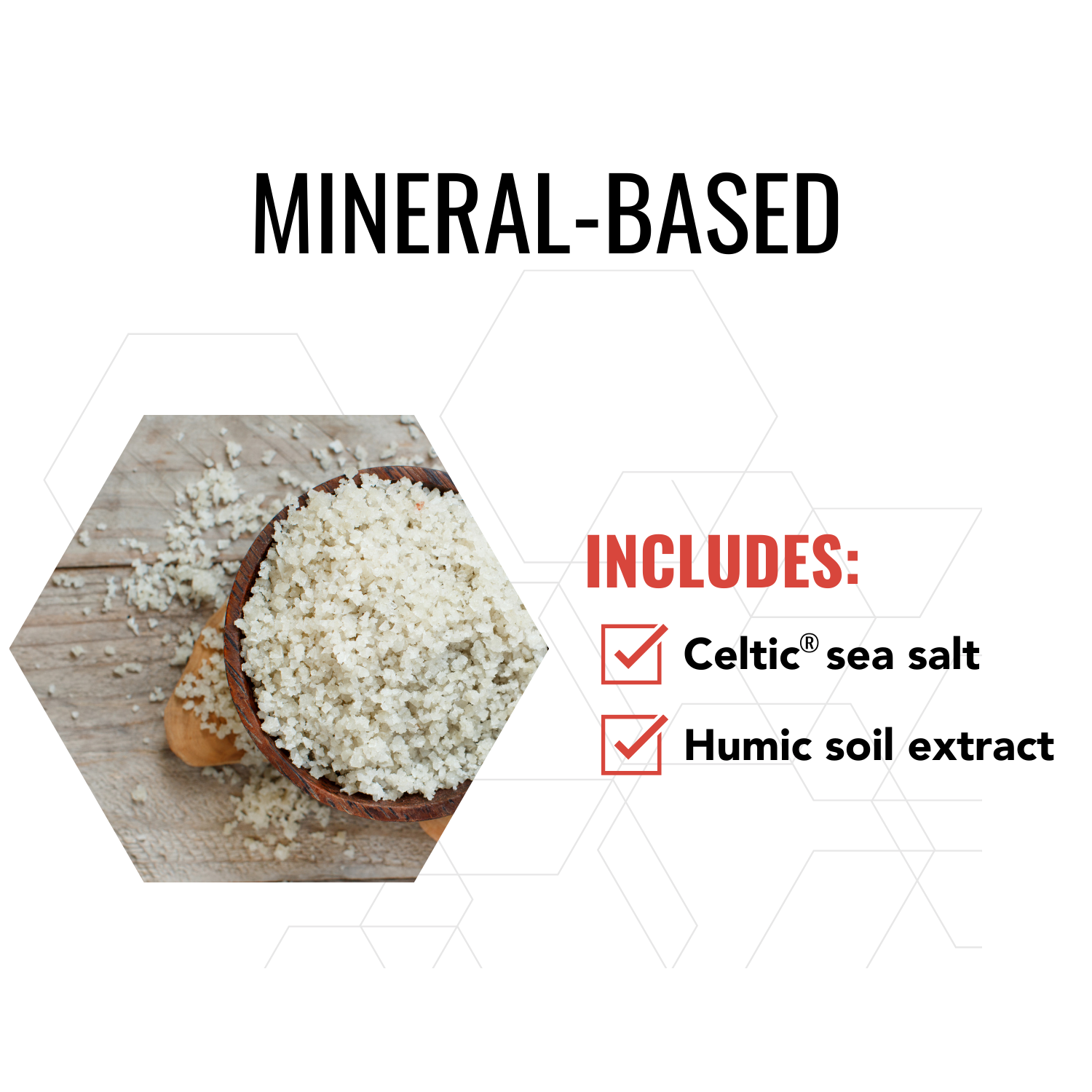 HYDRATE | LIMEADE | ENHANCE HYDRATION - VICERA