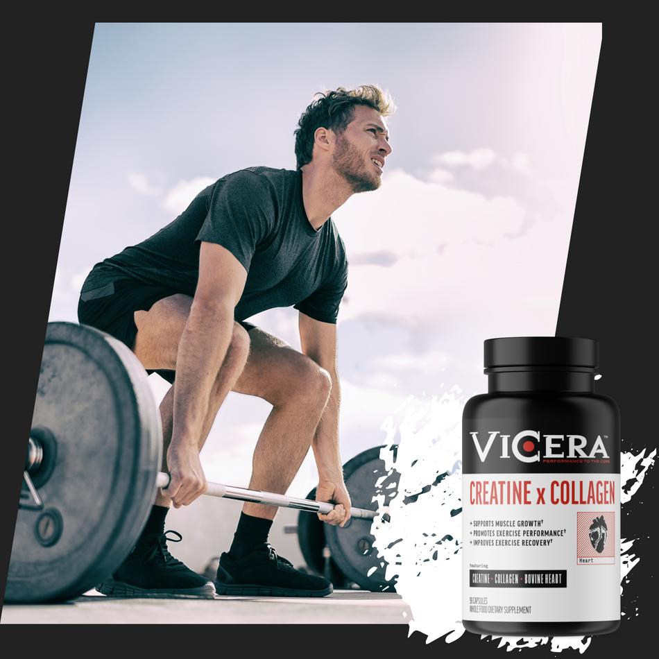 CREATINE X COLLAGEN | REVOLUTIONARY SUPERFOOD BLEND - VICERA