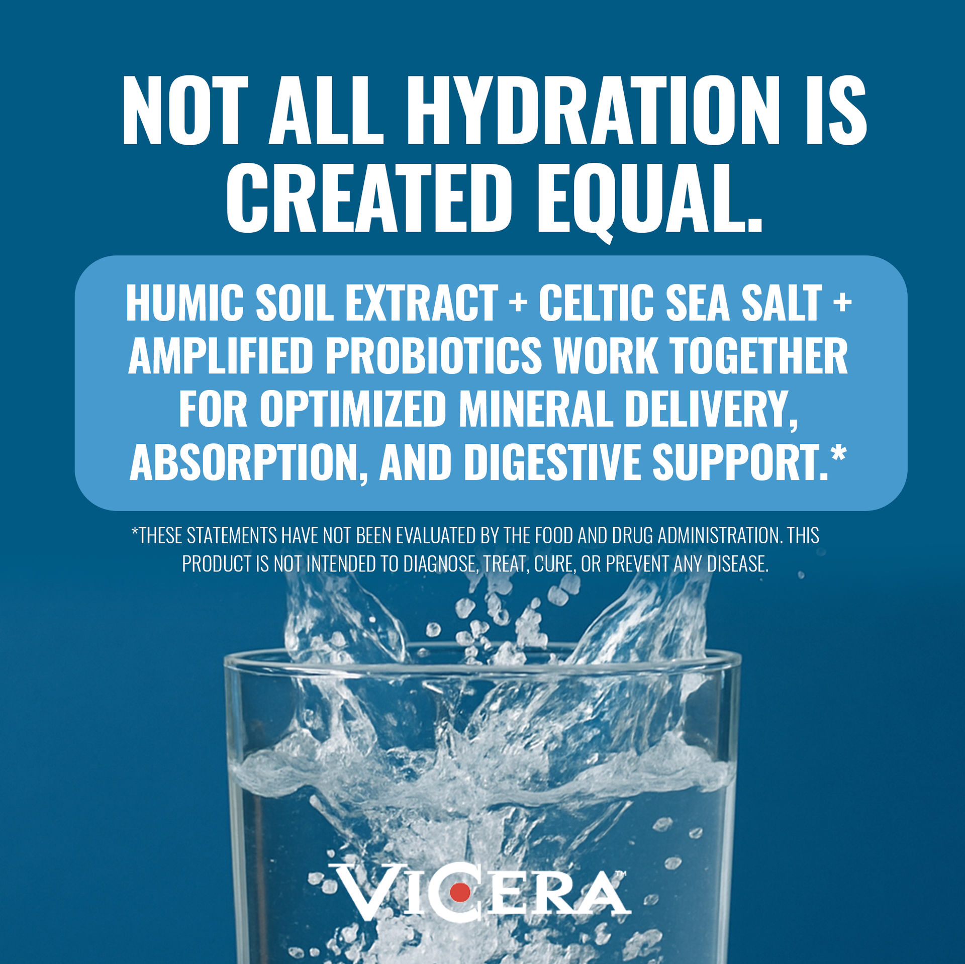 HYDRATE | ENHANCE HYDRATION, BALANCE ELECTROLYTES, & MORE - VICERA